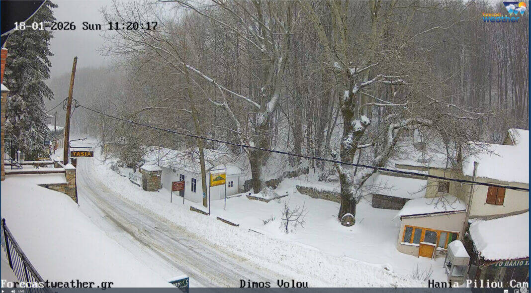 «Το έστρωσε για τα καλά» στο Πήλιο – Πυκνή χιονόπτωση στα ορεινά - SkiathosVoice.gr